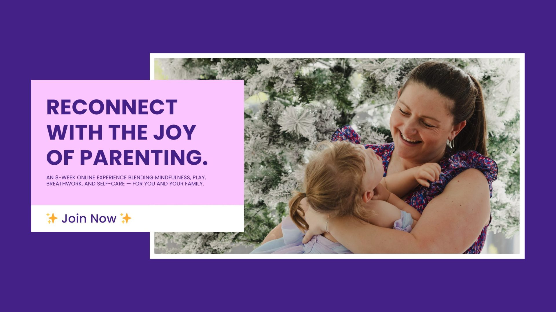 The Joyful Parenting Project - Shine Om
